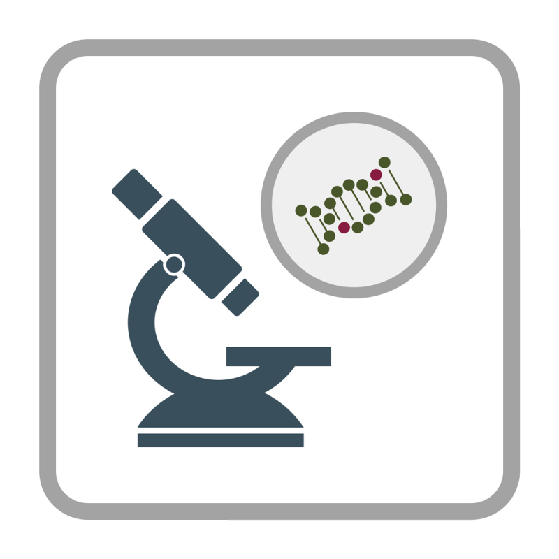 Bloom-Syndrom – FIT